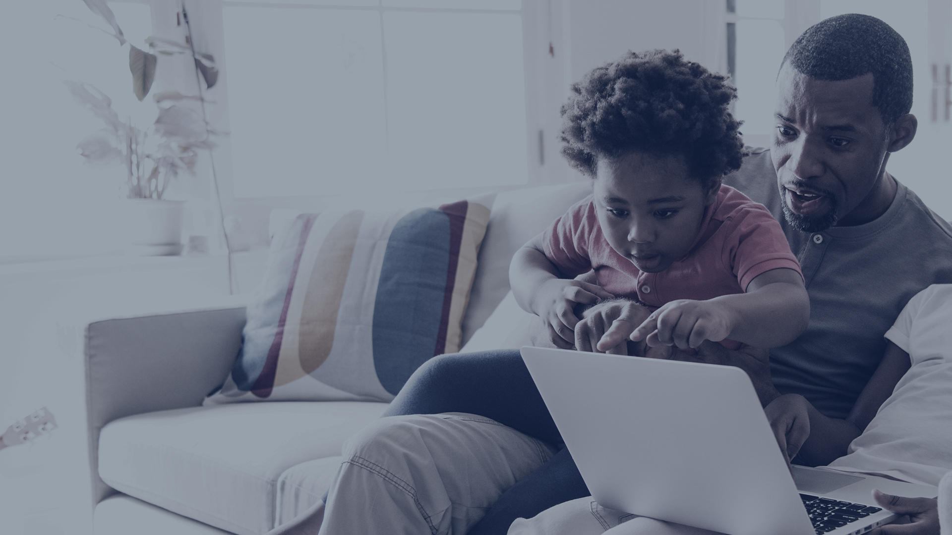 Afcom – The Smart Business Network